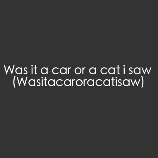It s One Of The Only Sentences That Can Be Read Both Sides