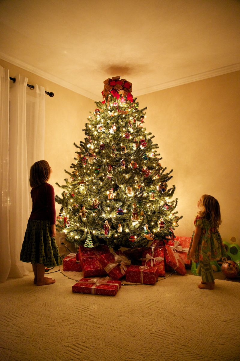 20 Ideas that Help Get Creative with Your Christmas Tree