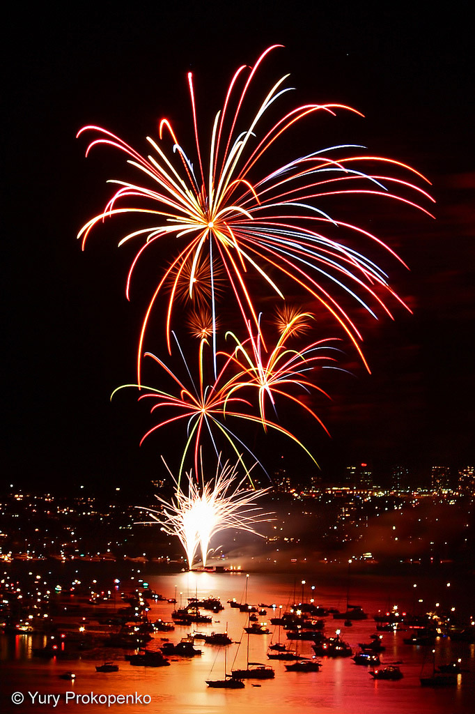 20 Breathtaking Fireworks to Get You Into the New Year's Spirit