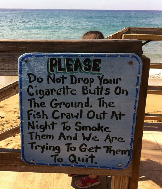 Super Awesome Pic Dump Of The Day (20 Funny Pics)