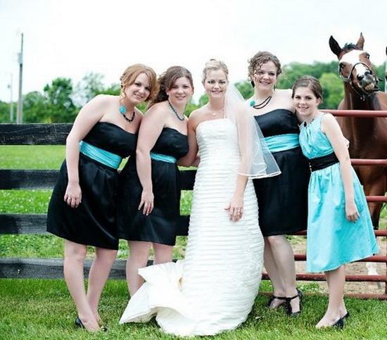 The Funniest Animal Photobombs Of All Time (28 Pics)