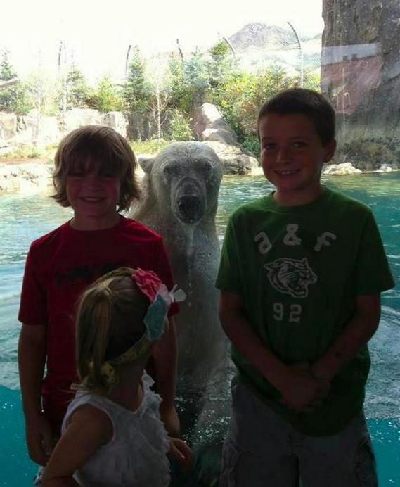 The Funniest Animal Photobombs Of All Time (28 Pics)