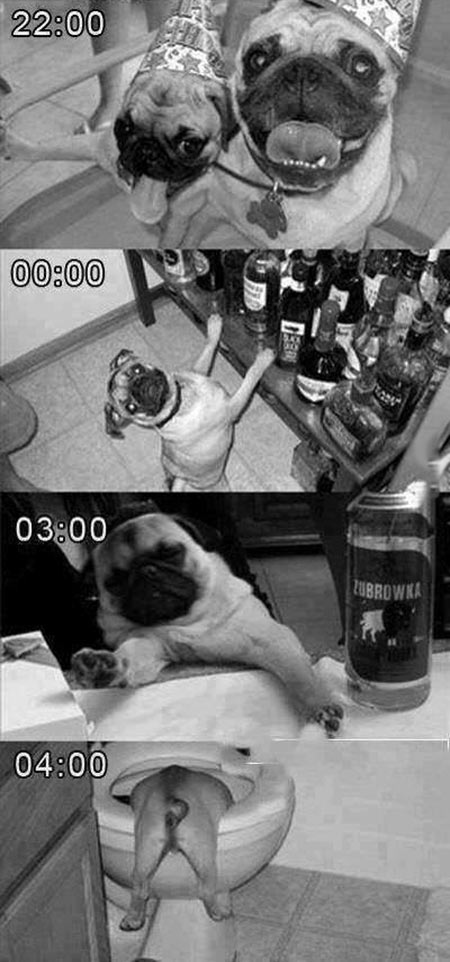 Super Awesome Pic Dump Of The Day (30 Funny Pics)