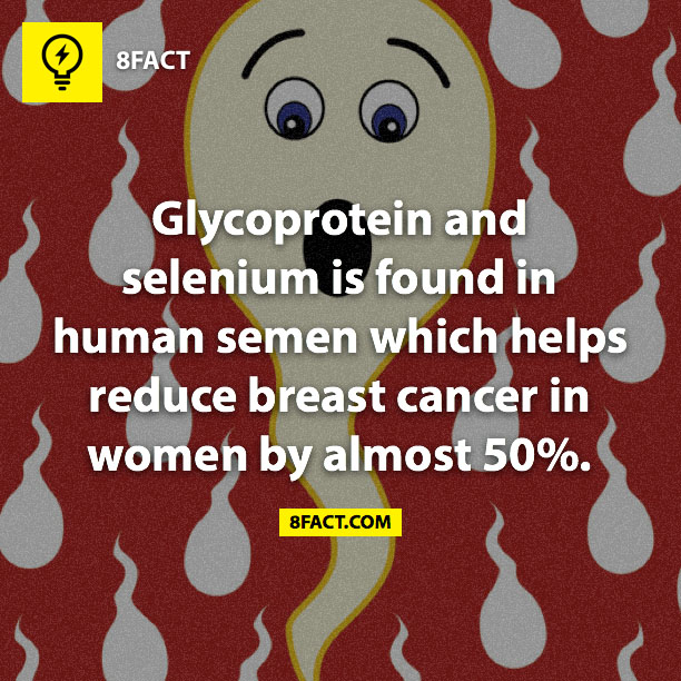 25 Random Facts You Might Not Know
