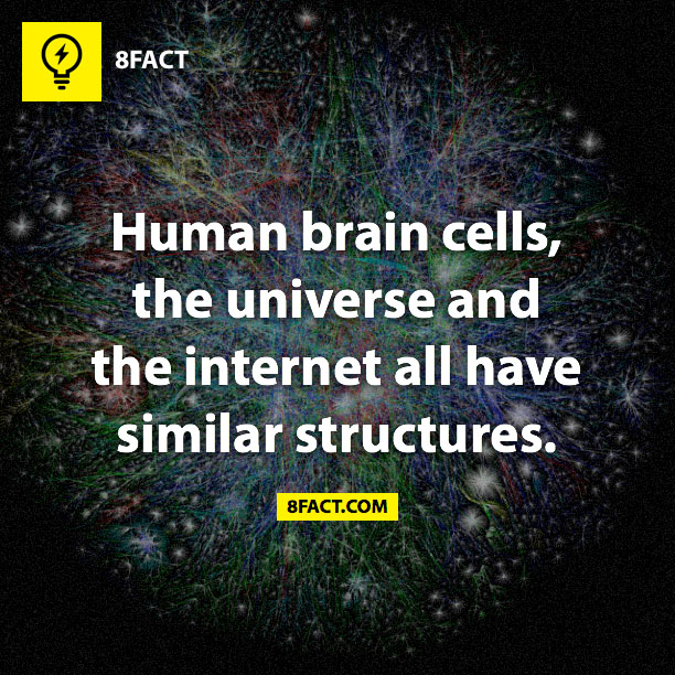 25 Random Facts You Might Not Know