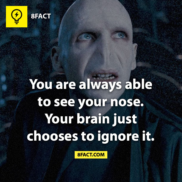 25 Random Facts You Might Not Know