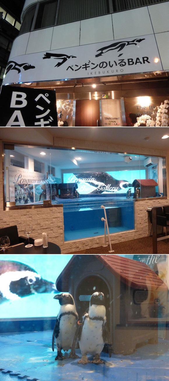 You Wouldn't Believe That These Things Actually Exist (15 Pics)