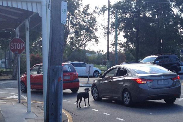 Major Facepalm: Something Is Seriously Wrong With People These Days (21 ...