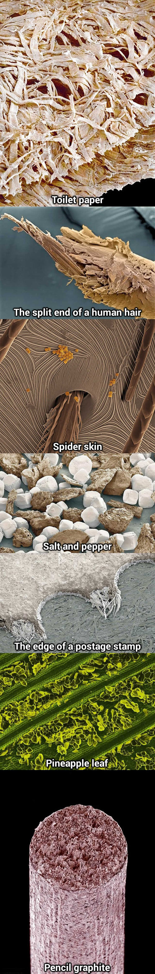 Everyday things made awesome under a microscope…