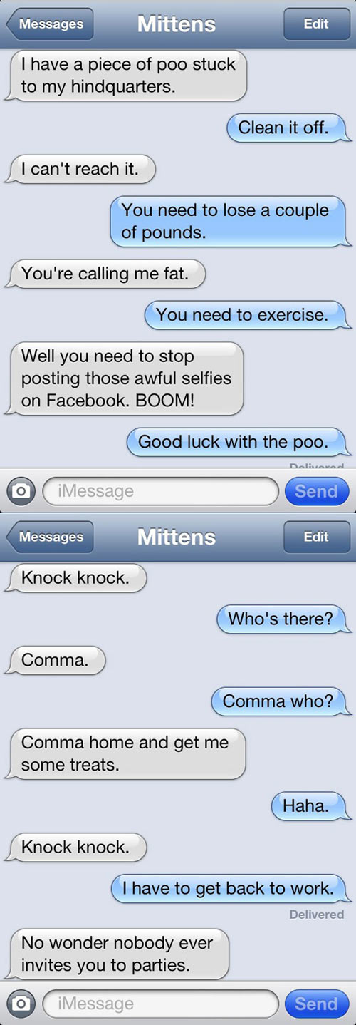 Text messages from a cat…