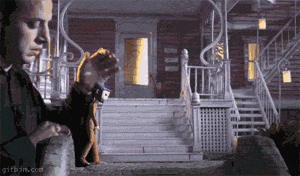 Stop motion gif behind the scenes of a stop motion movie…