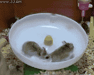 What my gym looks like this week…