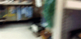 Greetings Human, We’ve Been Waiting For You