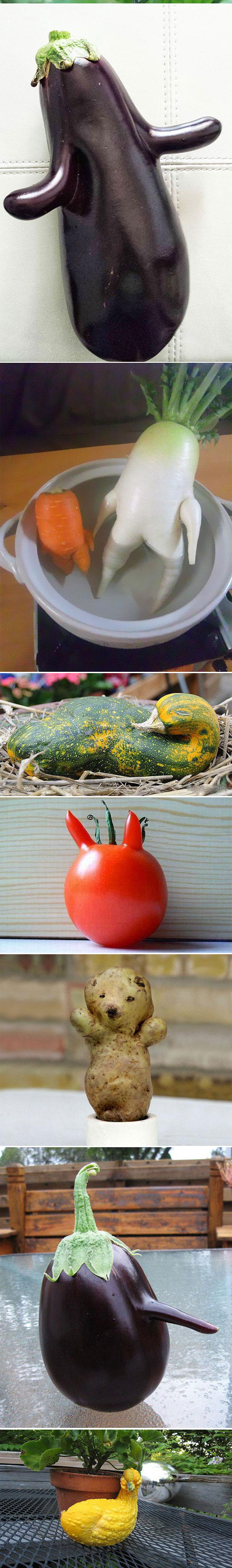 Funny-shaped fruits and vegetables that forgot how to be plants…