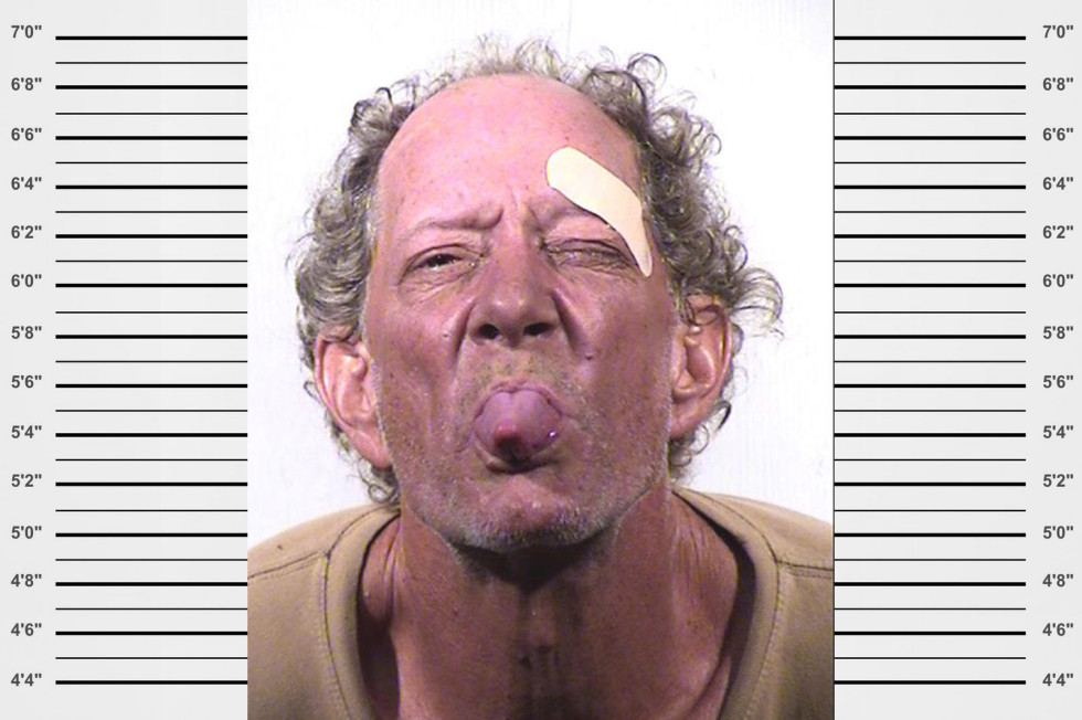 17 Totally Crazy WTF Mugshots
