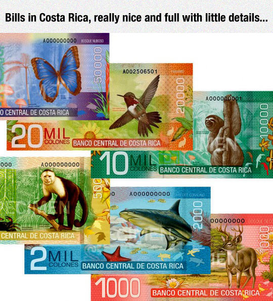 The World’s Most Beautiful Currency