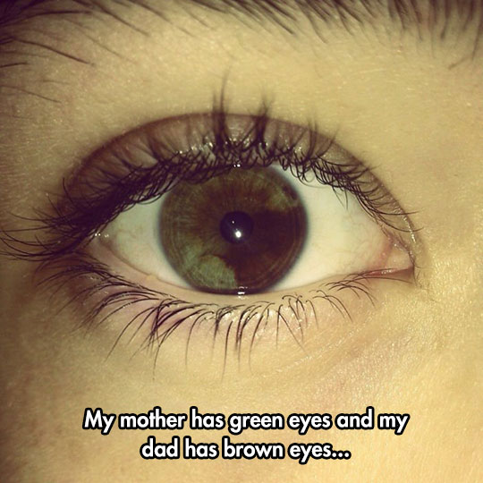 Eye Color Mix