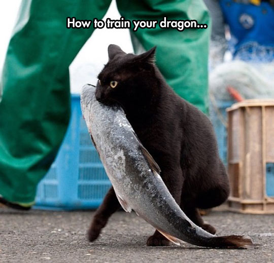 Oh, I See The Resemblance