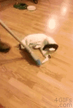 This Ride, I Like It