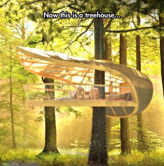 SPECTACULAR TREE HOUSE.