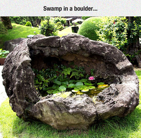 That’s A Nice Boulder.