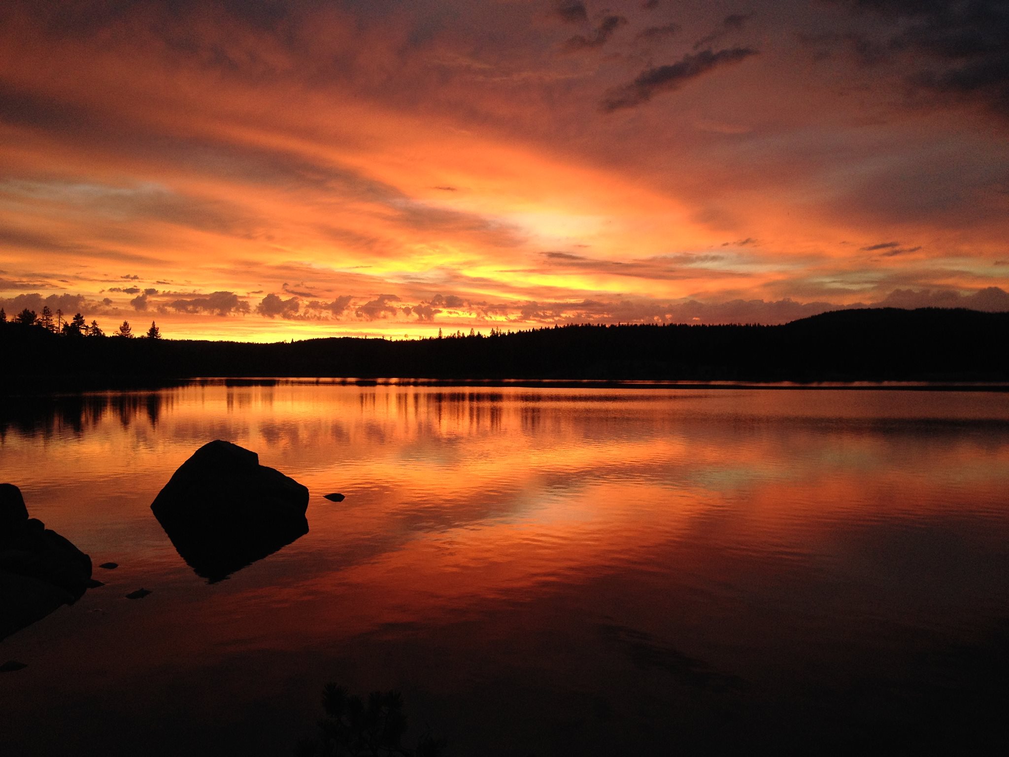 The best photo ever take.