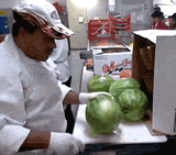 Cutting A Watermelon