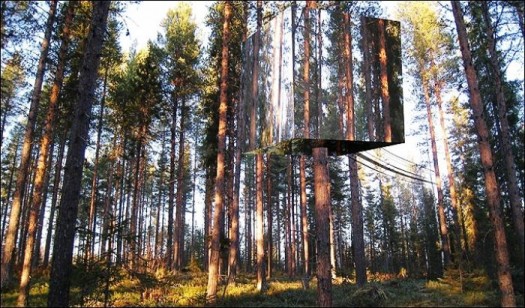 Incredible Invisible Treehouse
