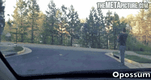 If Humans Crossed The Street Just Like Animals