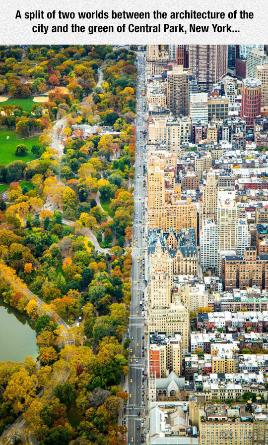 A Split Of Two Worlds