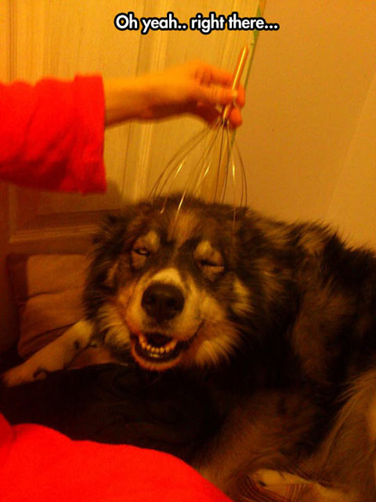 That Is The Face Of Pure Bliss.