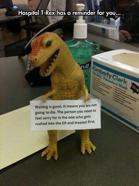 Hospital T-Rex.