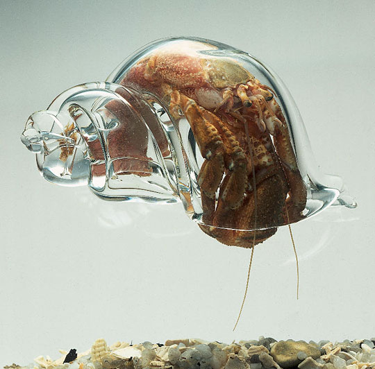 Artificial glass shell.