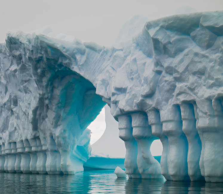 The northern water tribe.
