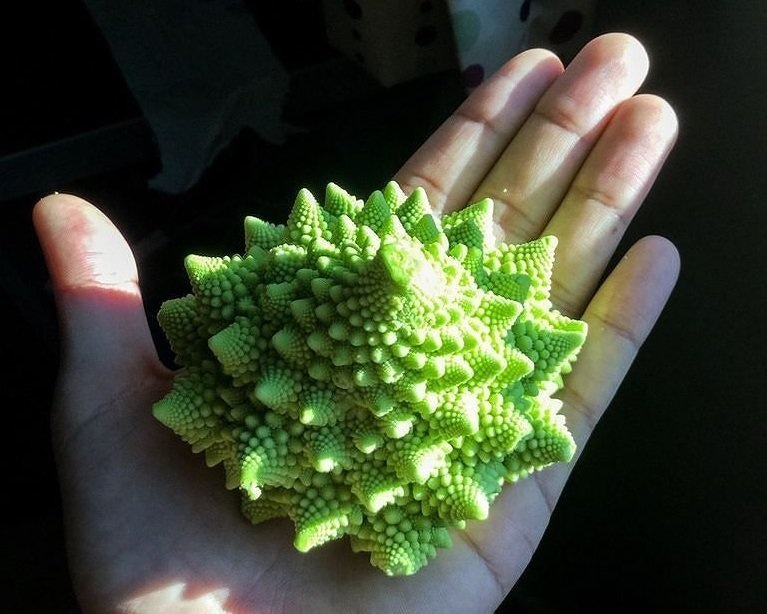 This is a Romanesque Cauliflower,