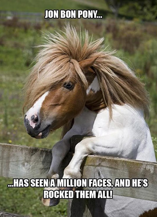 Jon Bon Pony In The Flesh.