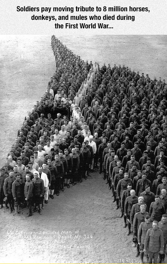Soldiers Paying Tribute.