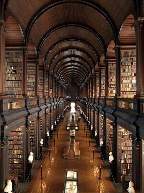 Most Epic Library I have seen.