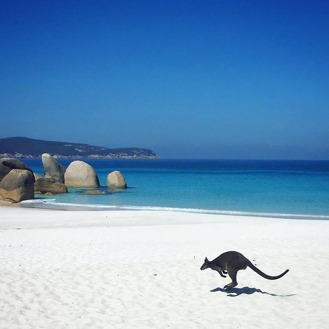 Quintessential Australia.