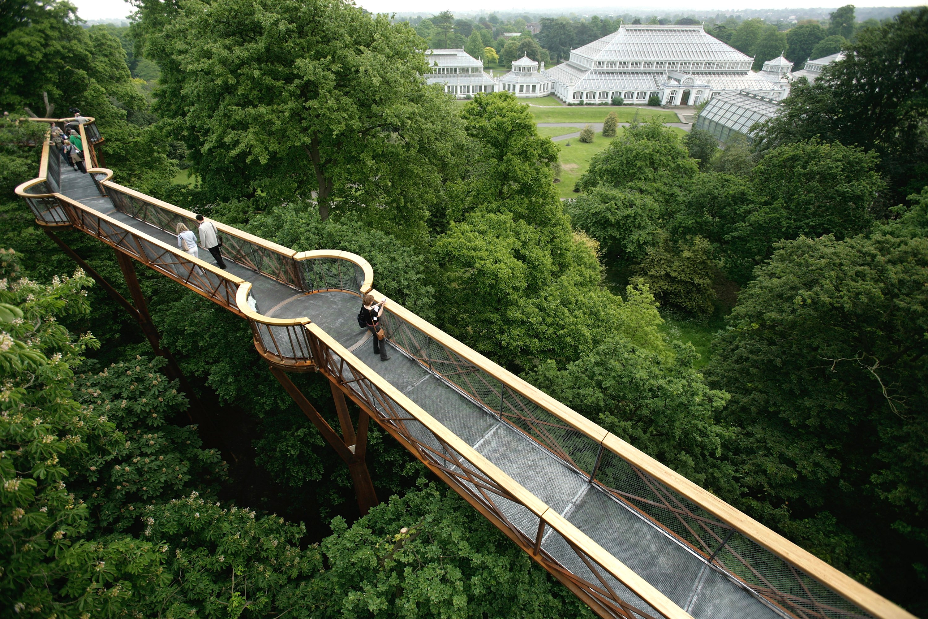 Treetop walkway.
