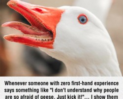 18 Funny Text Message Replies