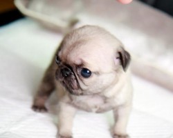 Epic FAILS — The 32 Funniest Fail GIFs Ever